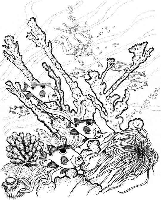 realistic coral reef coloring page